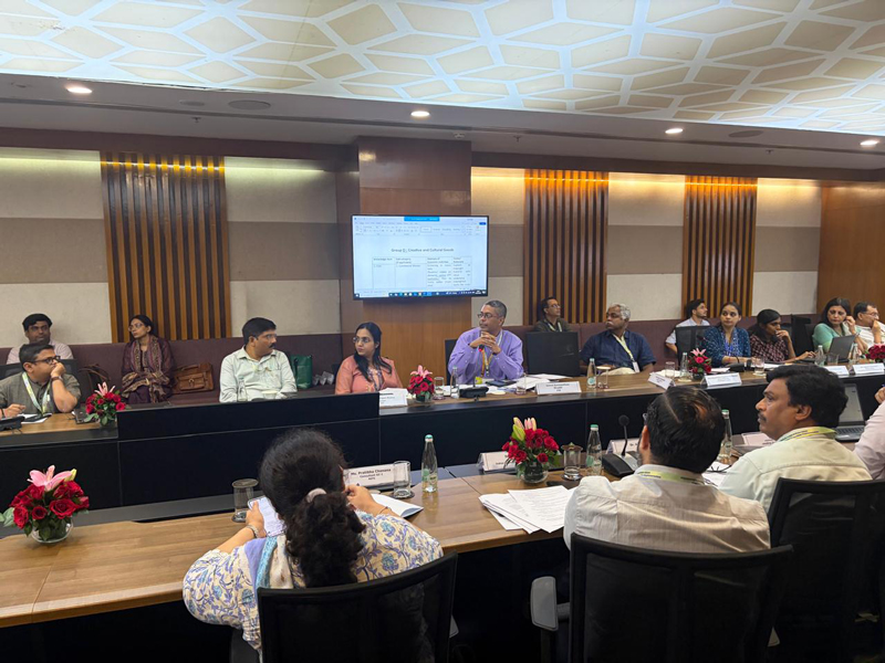 MoSPI Hosts Brainstorming Workshop to Develop Framework for Measuring ...